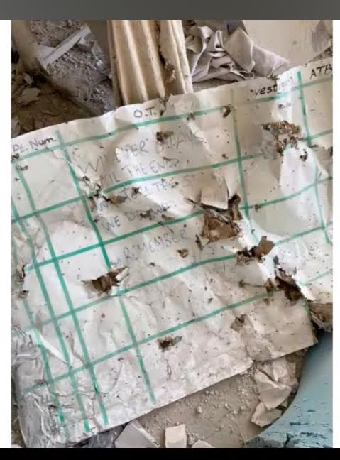 I am in a Civil Strike for Palestine - ESCRIBANA